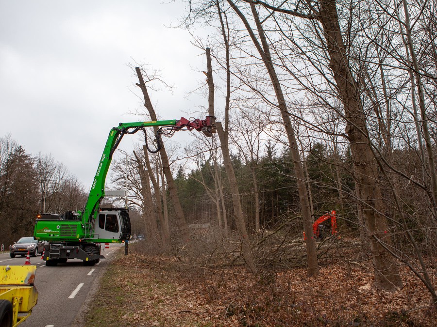 Bomen rooien - Lorsheijd Groen